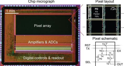 with programmable pixels novel sensor improves imaging of neural activity