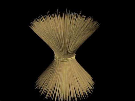 Straw 3d Model