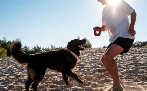 Farmina Pet Foods Genius Tips Spirulina The Powers Of A Superfood