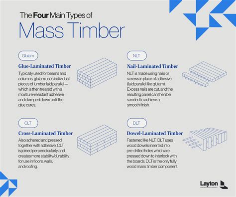 Plant A Tree Grow A Building An Intro To Mass Timber Layton