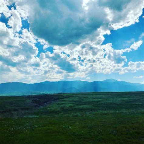 Dr Theresa Wilk Feeley Pt Dpt 🧐pelvic Organ Prolapse Is When One Or