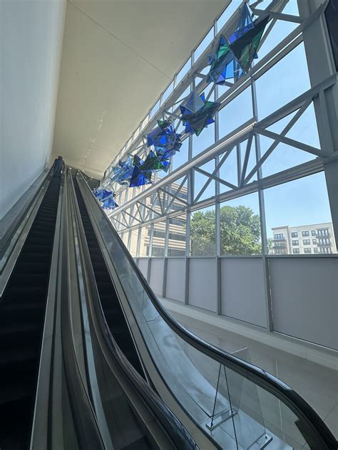 Shinebright Positivity Everardo Alexander R