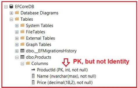 Non Primary Key Table In Ef Core Using Fluent Api Dot Net Tutorials