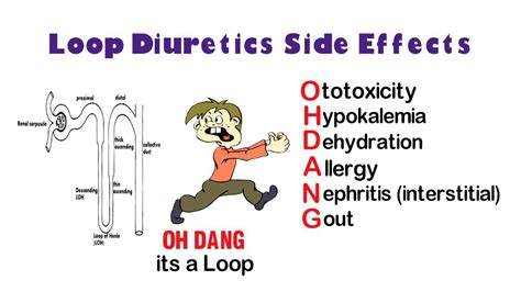 Loop Diuretics Side Effects Medizzy