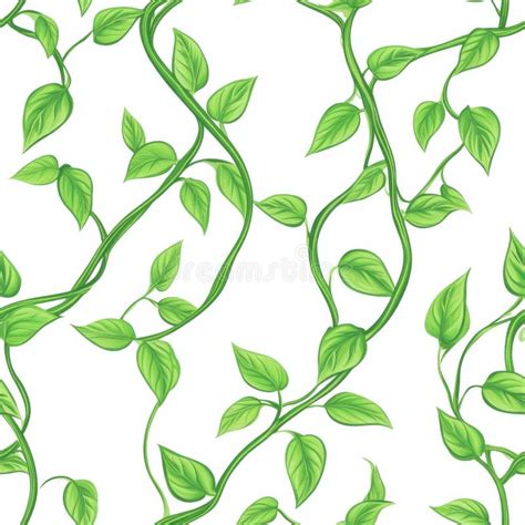 Seamless Green Vine Pattern Nature Background Stock Image Image Of