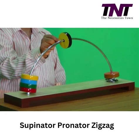 Wooden Tnt Supinator Pronator Zigzag At ₹ 4000piece In New Delhi Id
