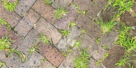 Una Soluzione Efficace Per Eliminare Le Erbacce Tra Le Piastrelle