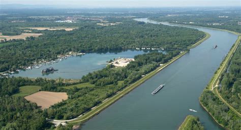 Mobilisons nous pour un Rhin vivant Plateforme pour la Biodiversité