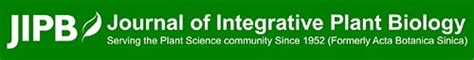 Phyllosphere Microbiota Community Dynamics And Its Interaction With