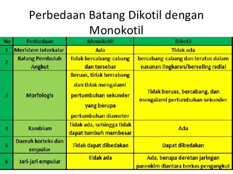 Perbedaan Anatomi Tumbuhan Dikotil Dan Monokotil 2021