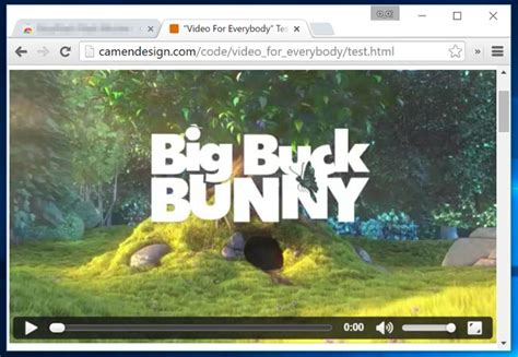 How To Stop Auto Playing Html5 Videos In Your Web Browser