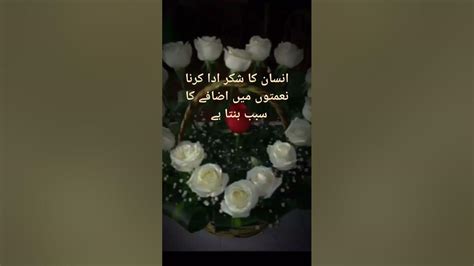 Tilawat E Quran Kareem Youtube