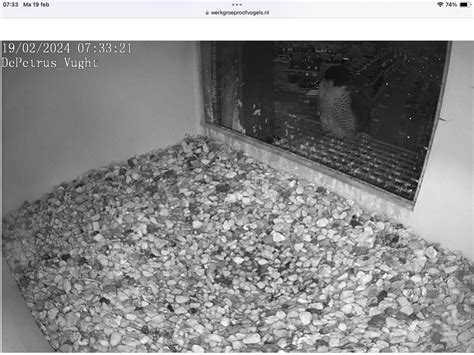 Img 9726 — Postimages