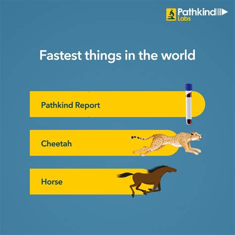 Pathkind Labs On Linkedin Pathkindlabs Pathkind Healthcare Health