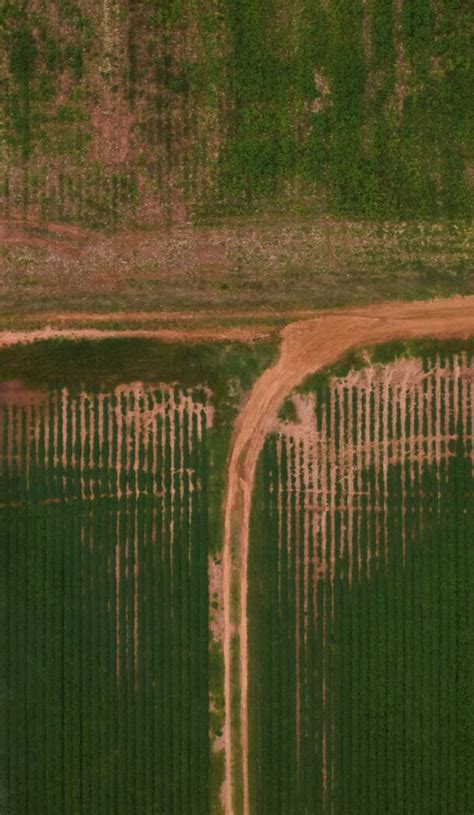 Land Use Analysis Branch Farm And Timberland