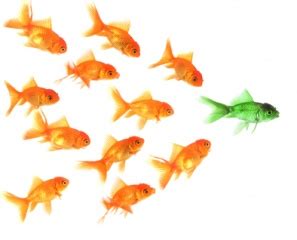 Where Are Your Key Influencers Hiding Sweeney