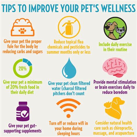 September Is National Pet Health And Safety Month Discover Tips To Keep