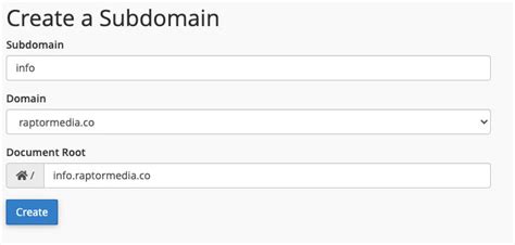 Create A Subdomain Raptor Media Info