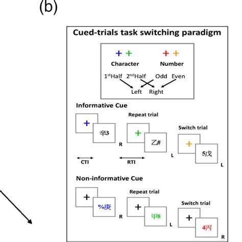 A Stop Signal Task Paradigm B Task‐switching Paradigm C 2‐back
