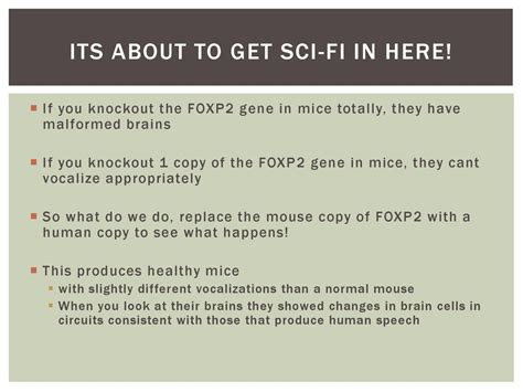 Genomes And Their Evolution Ppt Download