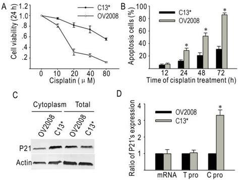 Cisplatin Induced Cytotoxicity And Apoptosis And Expression Of P21 In