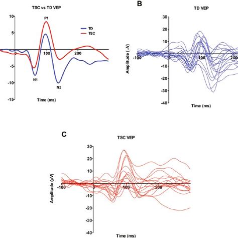 Retinal Achromic Patch Indicated By Arrow Download Scientific Diagram
