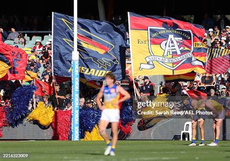 Crows Cheer Squad Celebrate Another Goal During The 2025 Afl Round 11