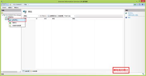 VisualStudio使用本地IIS服务调试ASP NET MVC 网站 CSDN博客