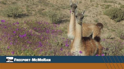 Bertrand Odinet On Linkedin Proud To Be Part Of Such An Outstanding Team Making A Real Difference