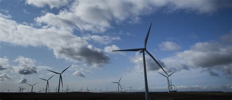 What Is The Green Levy How Much Levies On Energy Bills Are And What