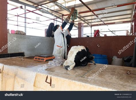 Abattoir Blacks Images Stock Photos D Objects Vectors Shutterstock