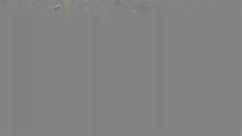 Entertaining A Visitor Eporner