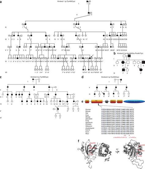 Dnmt1 Mutations In Studied Hsan1 Kindreds With Dementia And Hearing