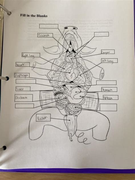 Solved Fill In The Blanks Sex W Fill In The Blanks