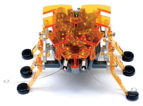 Hexbug Robotic Bug Fat Brain Toys