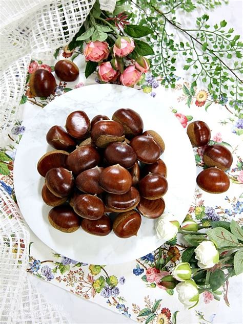 밤 보관하는 방법 벌레없이 신선하게~ 네이버 블로그