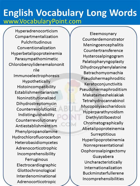 Longest Words In English Vocabulary Point