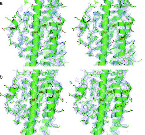 Comparison Of Em Density Maps Of Apc C Cdh1 Emi1 And Crystal Structure