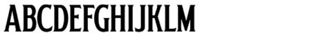 delighter script regular serif font serif classic what font is