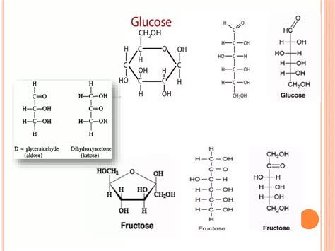 Biomolecules Carbohydrates Lipids Nucleic Acid Ppt
