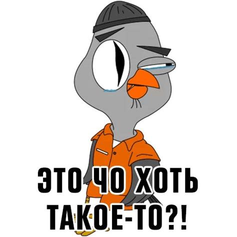 Набор стикеров для Telegram «Подозрительная сова»