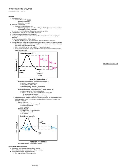 BIOL Lecture Notes Introduction To Enzymes Friday March AM ENZYMES Biological