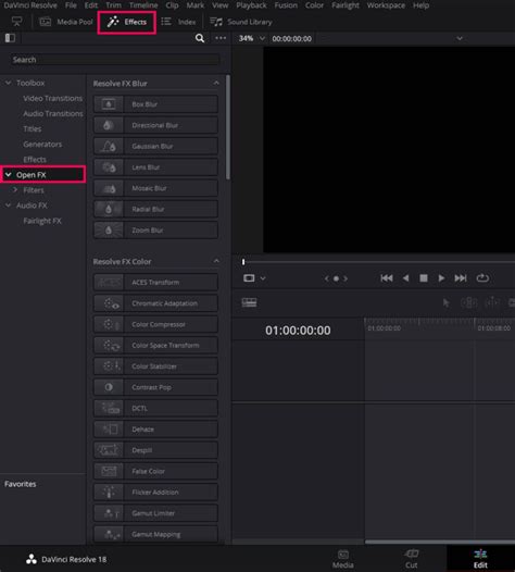 Adding Blurs In DaVinci Resolve A Comprehensive Guide Edits