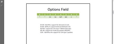Pythonnetworkingsecurityvirtualization Fundamentals Ospf Packet