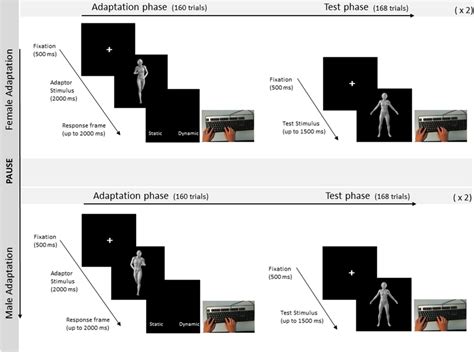 Experimental Session And Trial Procedure A Representation Of The