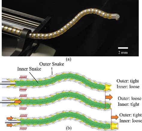 Figure 1 From Statics Modeling Of Discrete Joint Surgical Probes With