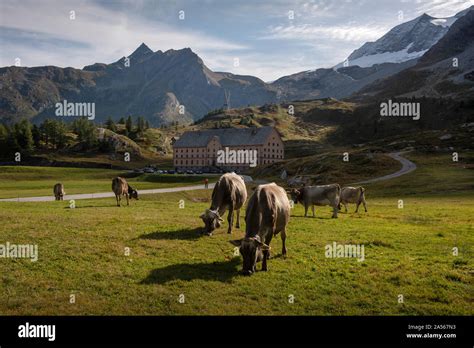 Simplon Pass Valais Switzerland Sept 2019 The Simplon Pass French