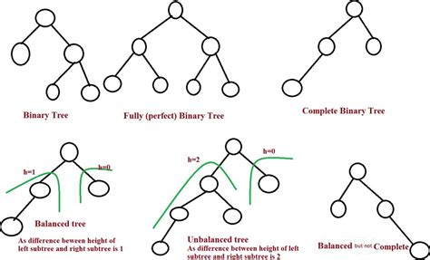 Create Stunning Binary Tree Diagrams With Our Maker