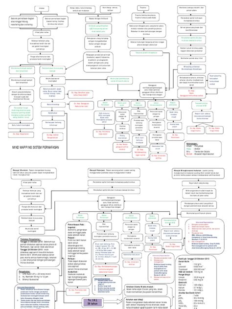 Mind Mapping Sistem Pernafasan Perbaikan Pdf