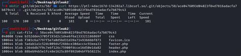 [pentesterlab] git infomation leak